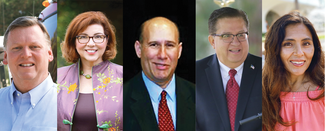 New members elected as Orange City Council grows — The Panther Newspaper