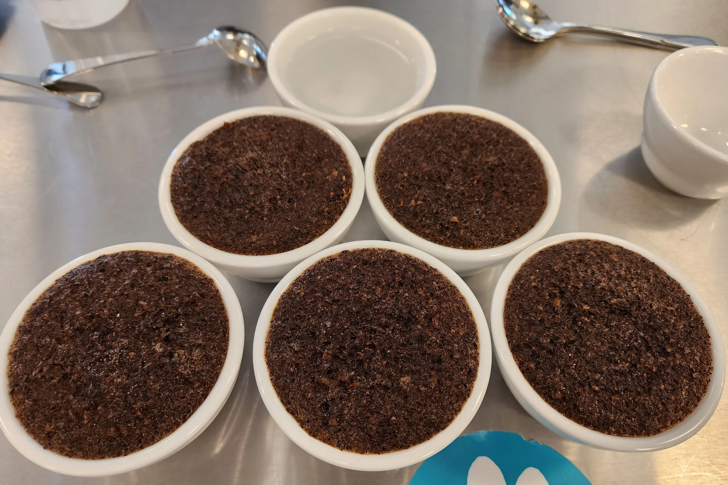 Chapman’s Coffee Club makes this the ‘chappiest season’ with fundraiser ...
