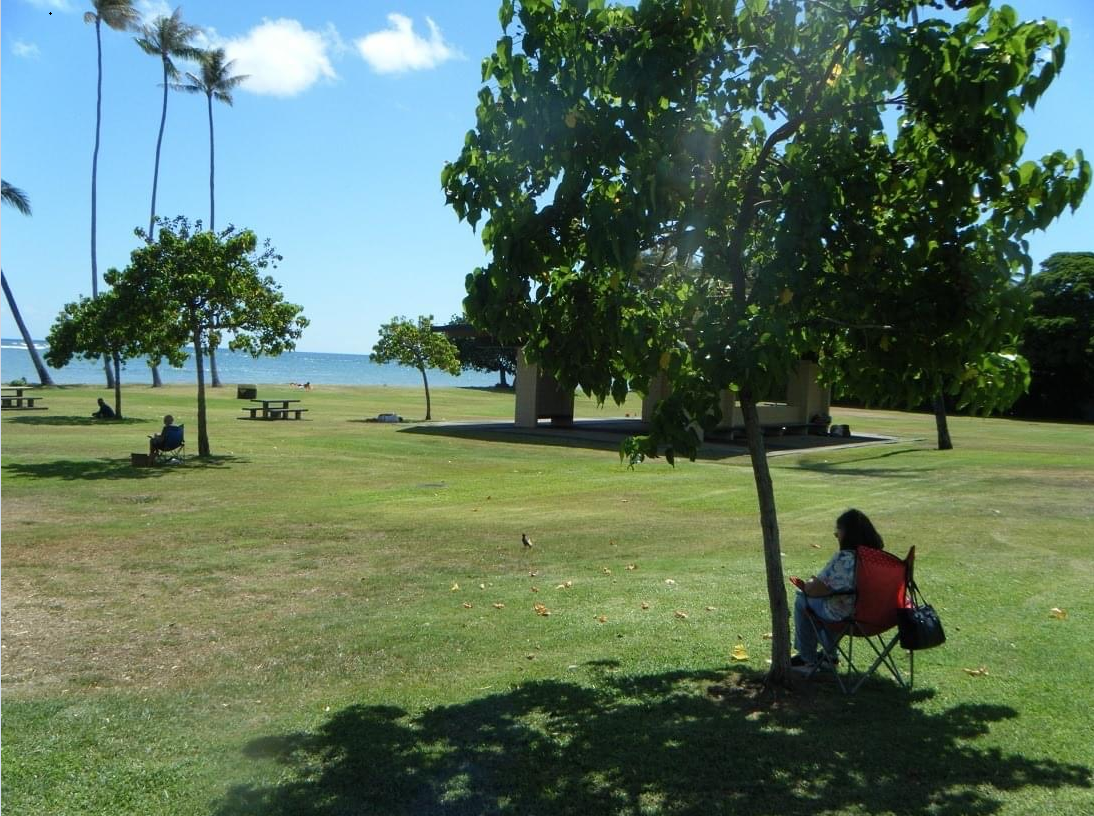 Climate Adaptation — Resilience Office - City and County of Honolulu ...