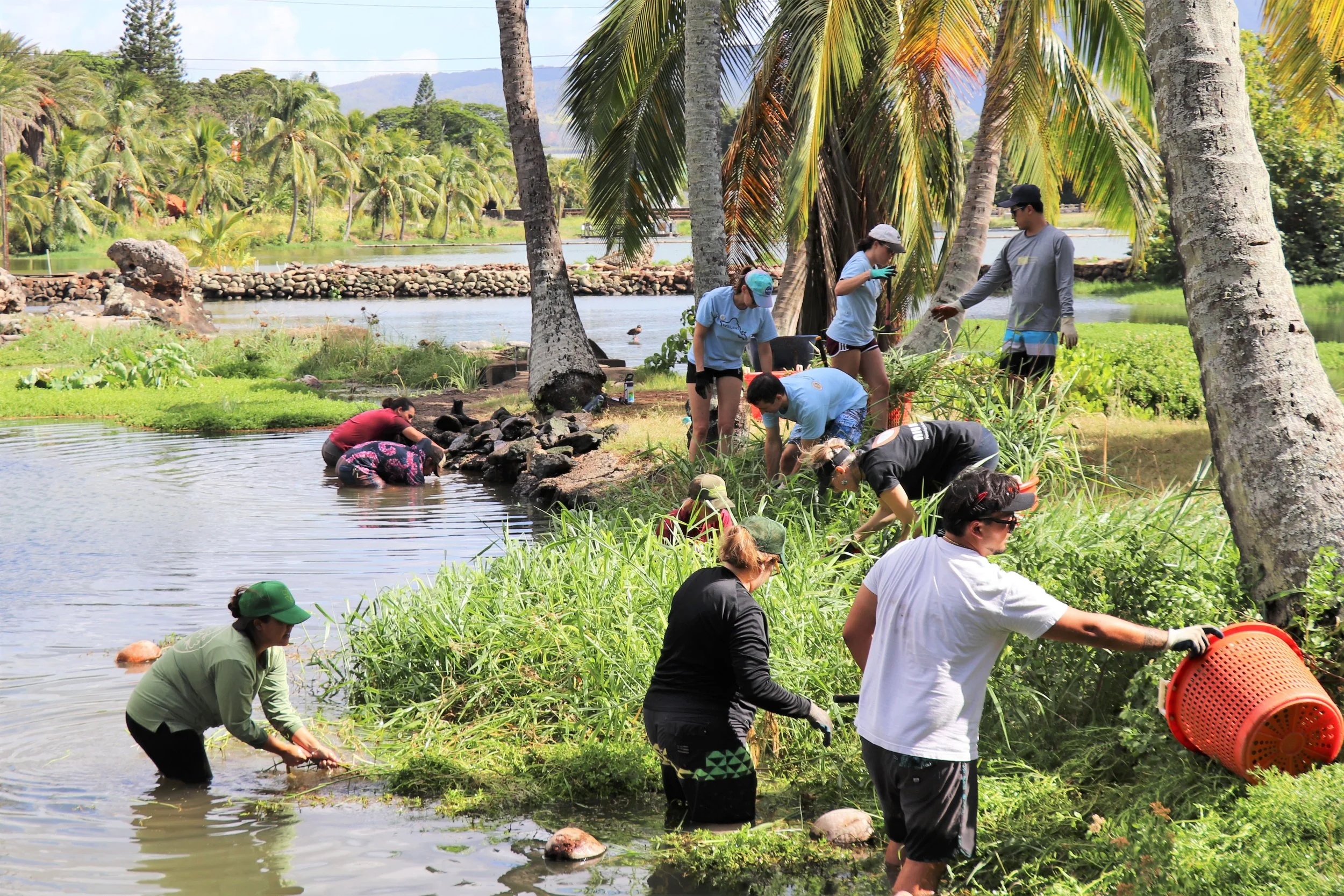 Climate Adaptation — Resilience Office - City and County of Honolulu ...