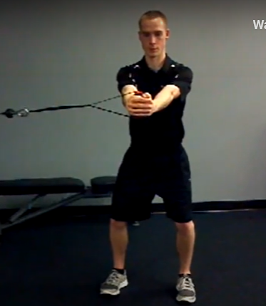 The Use of Anti-Core Strengthening Exercises to Protect Your Back By ...