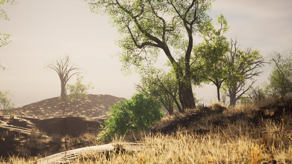 Procedural Tools — Hakeem Adam