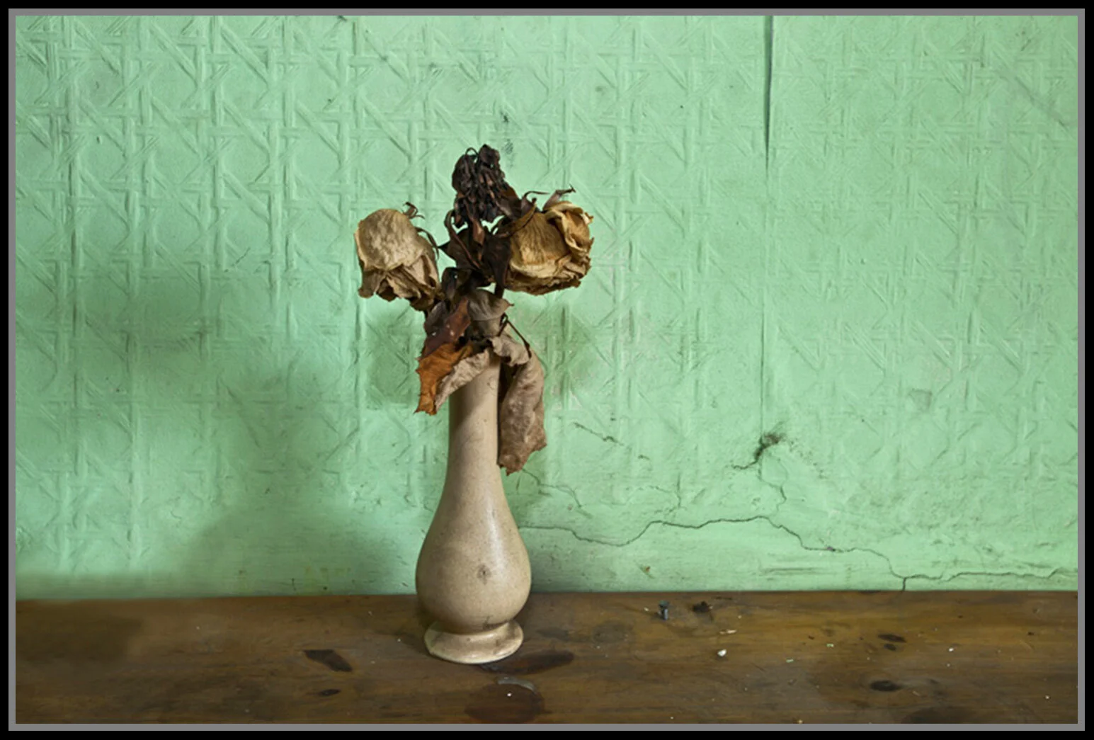 Jeanette Lowe Photography