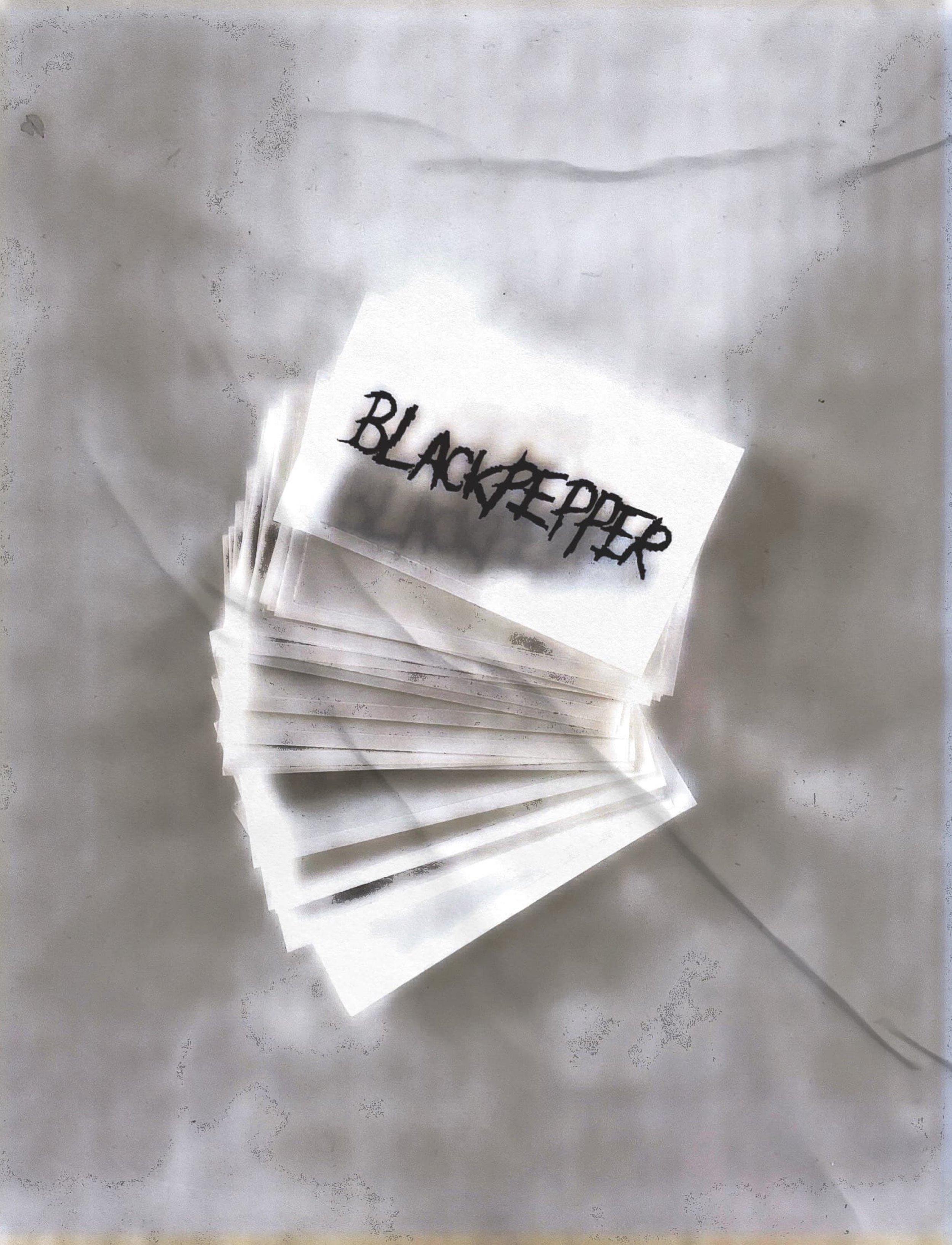 BlackPepper Sticker Bundle — BlackPepper