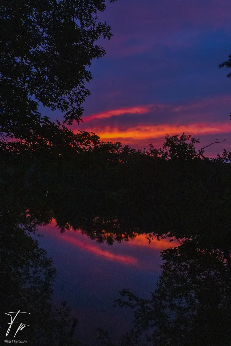 Franny P Photography
