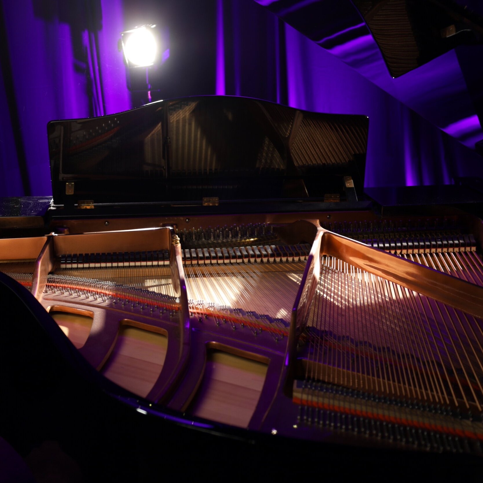 Studio Packages & Rates