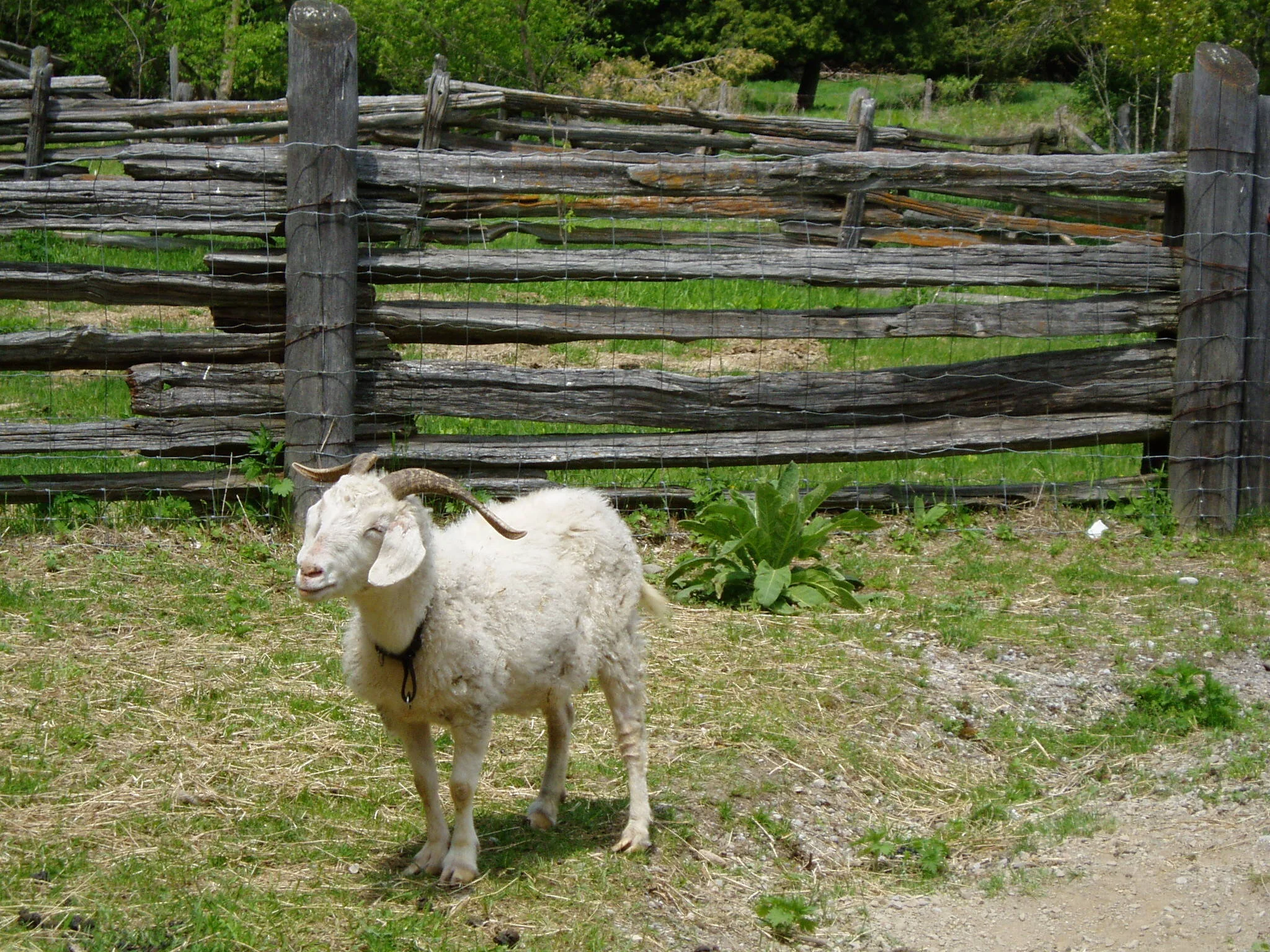 Farm Page — Canadian Wrangler