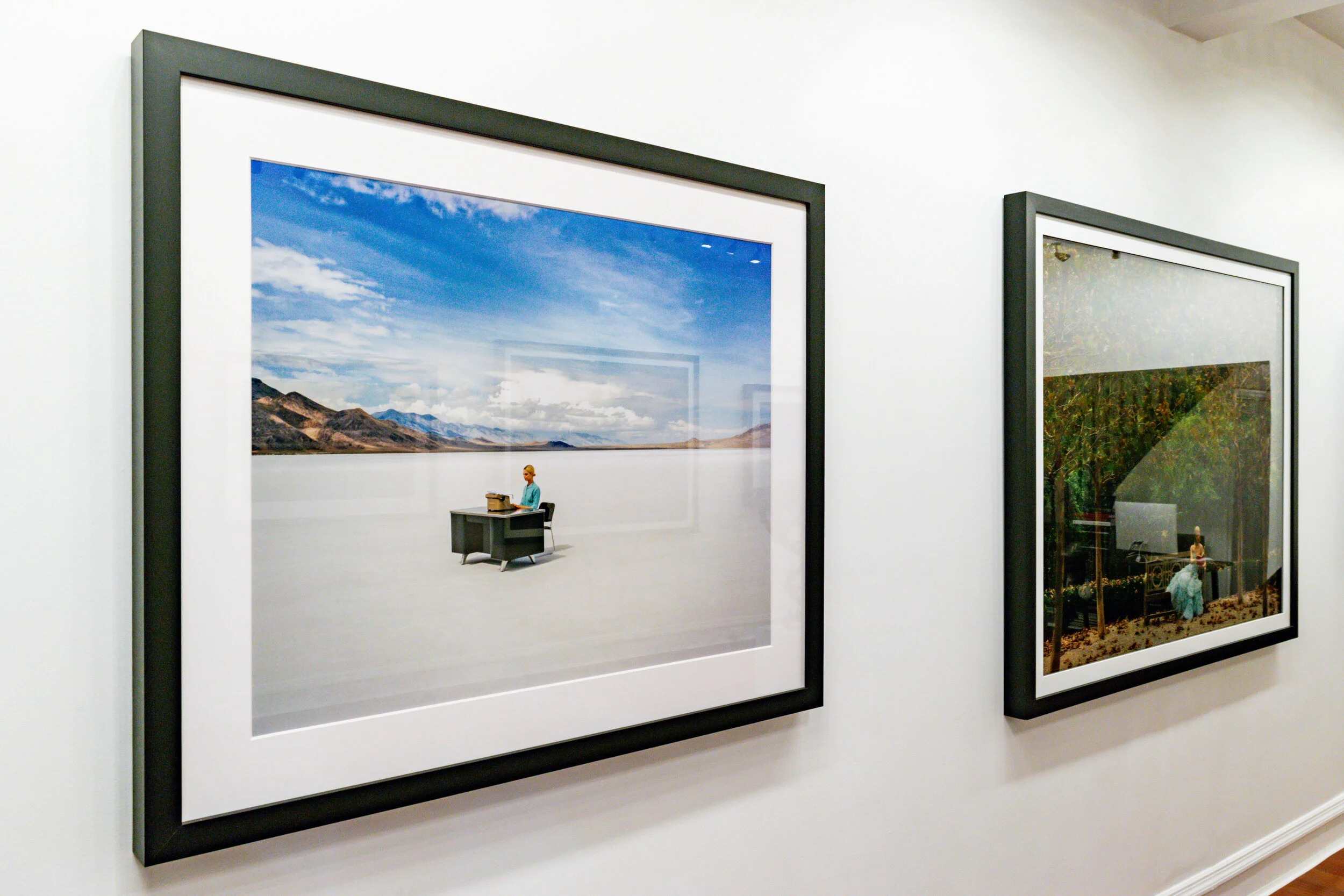 Tyler Shields Paint Photography