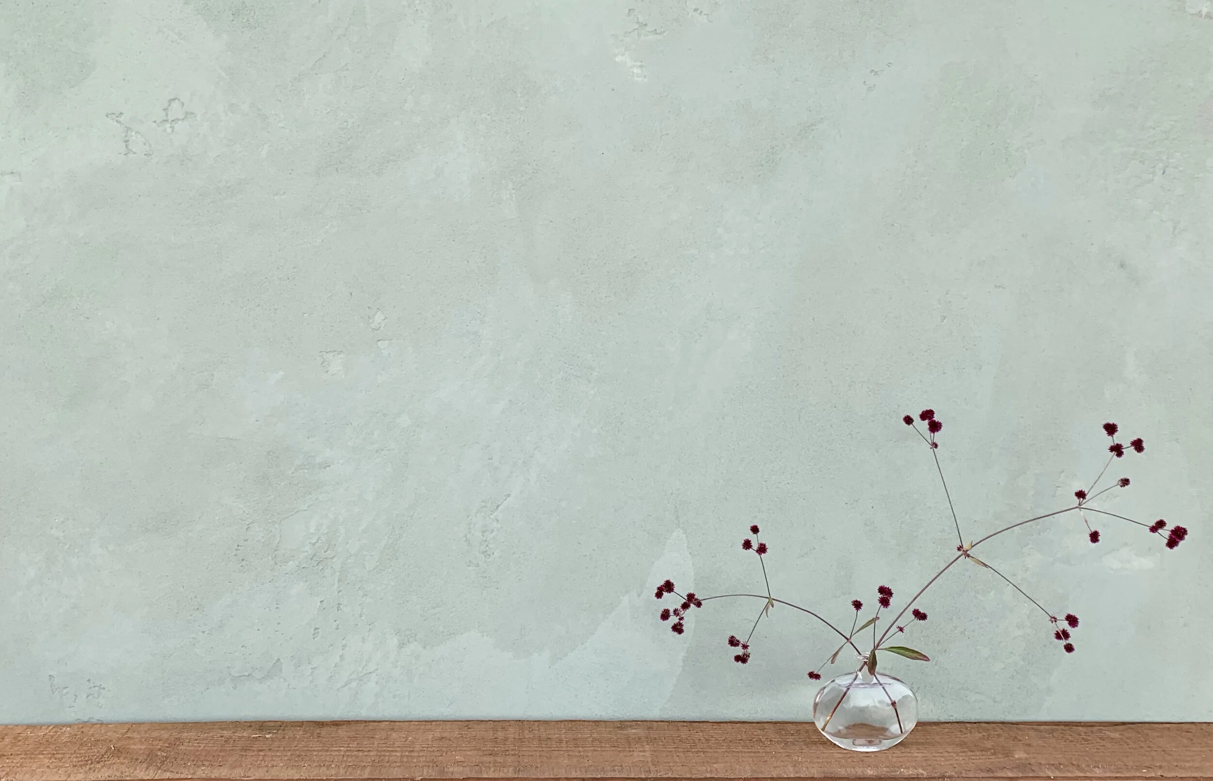 Simple Construct Natural Plasters