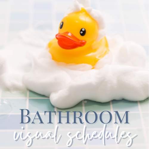Visual Schedules — SHOP — Everyday Homeschooler
