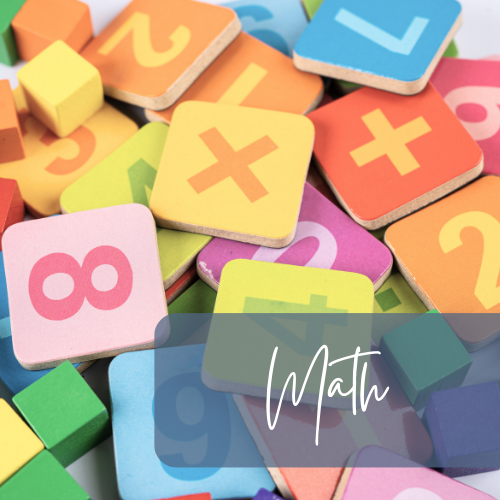 Special Needs Curriculum Picks Everyday Homeschooler