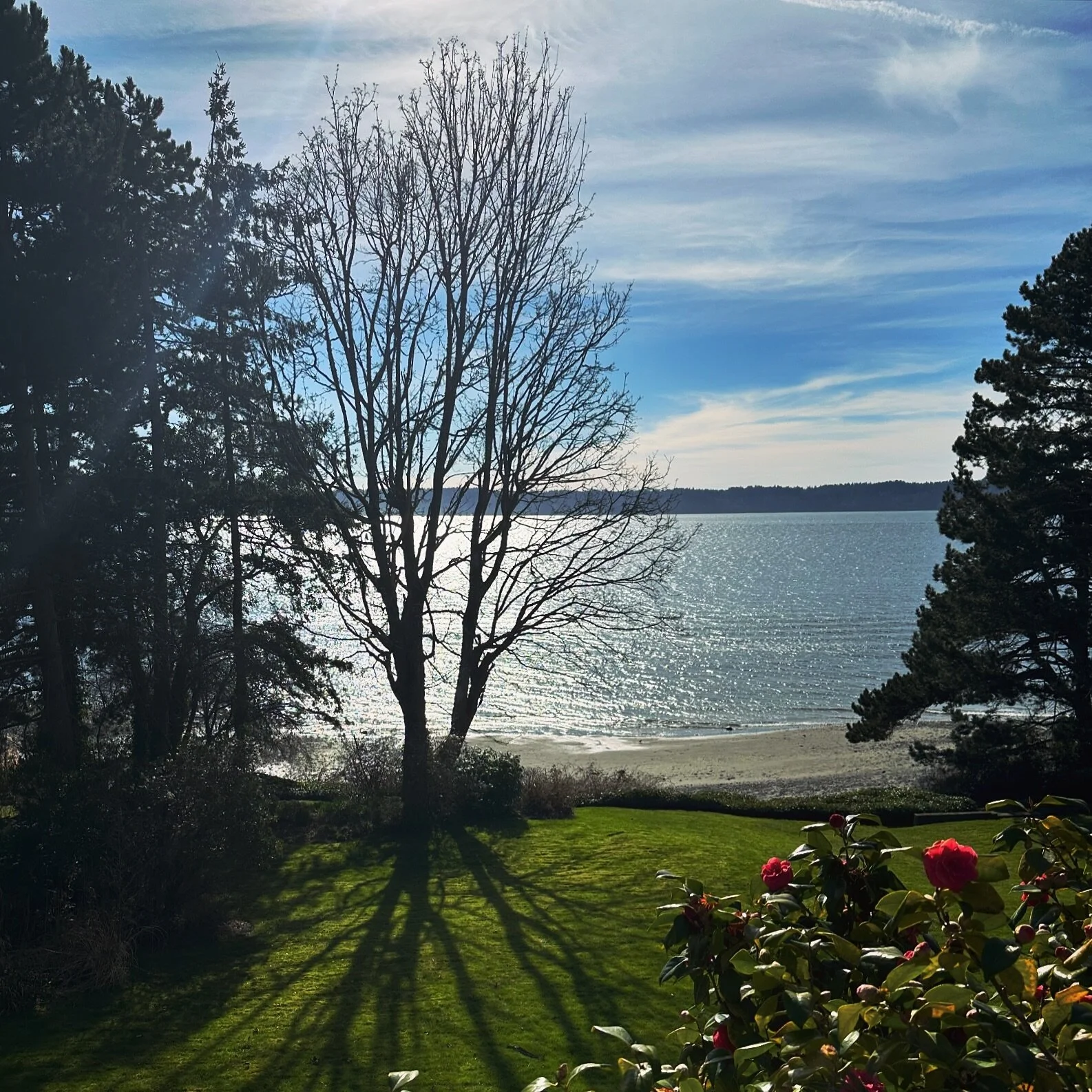 Seattle Interior Design + Feng Shui — Atmospheric Design