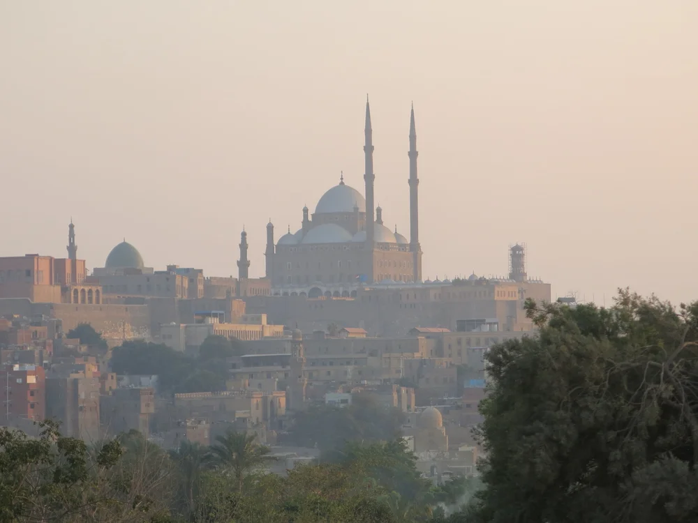 Contact Us — InterCP