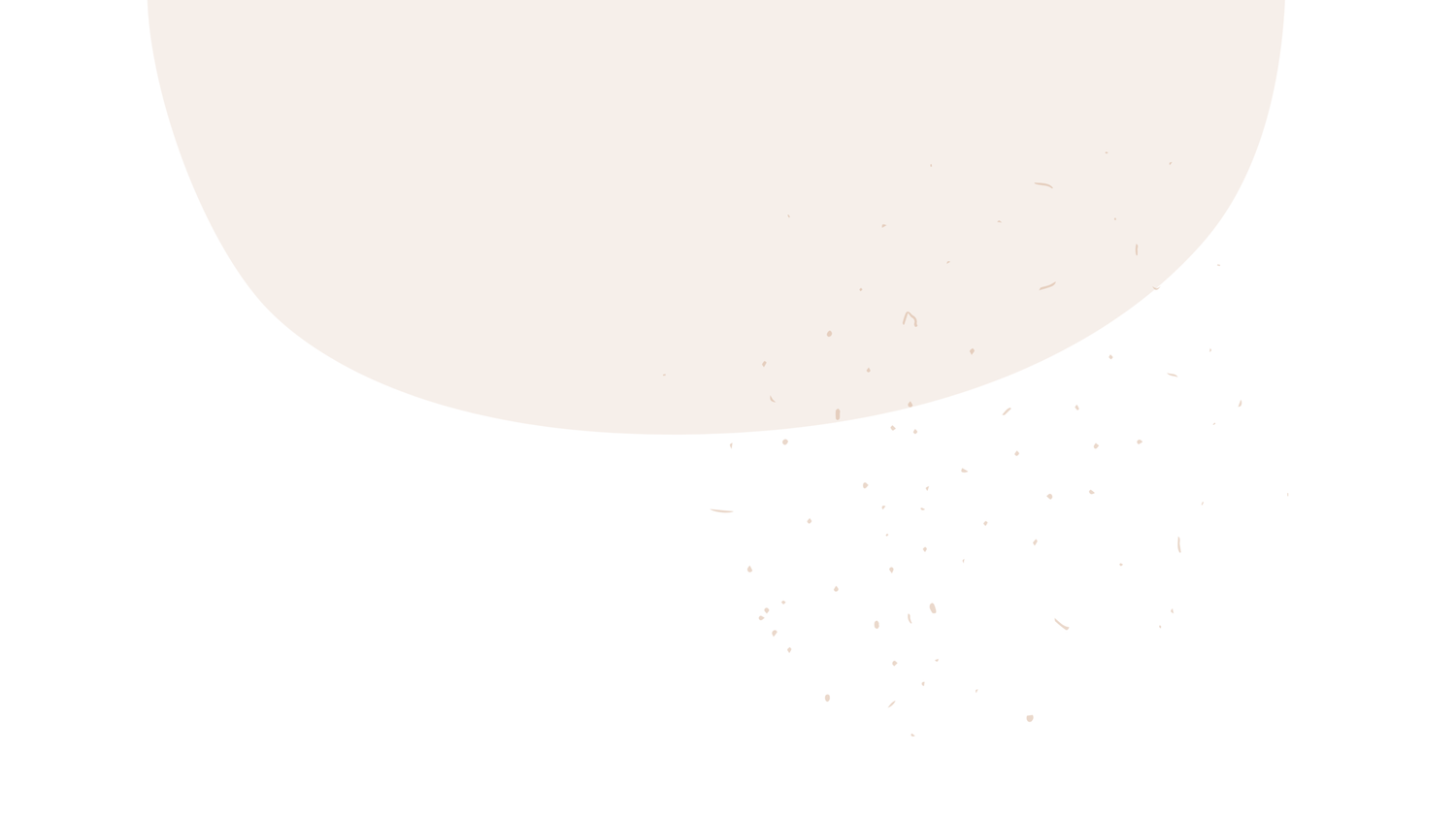 Decor — Ashley French