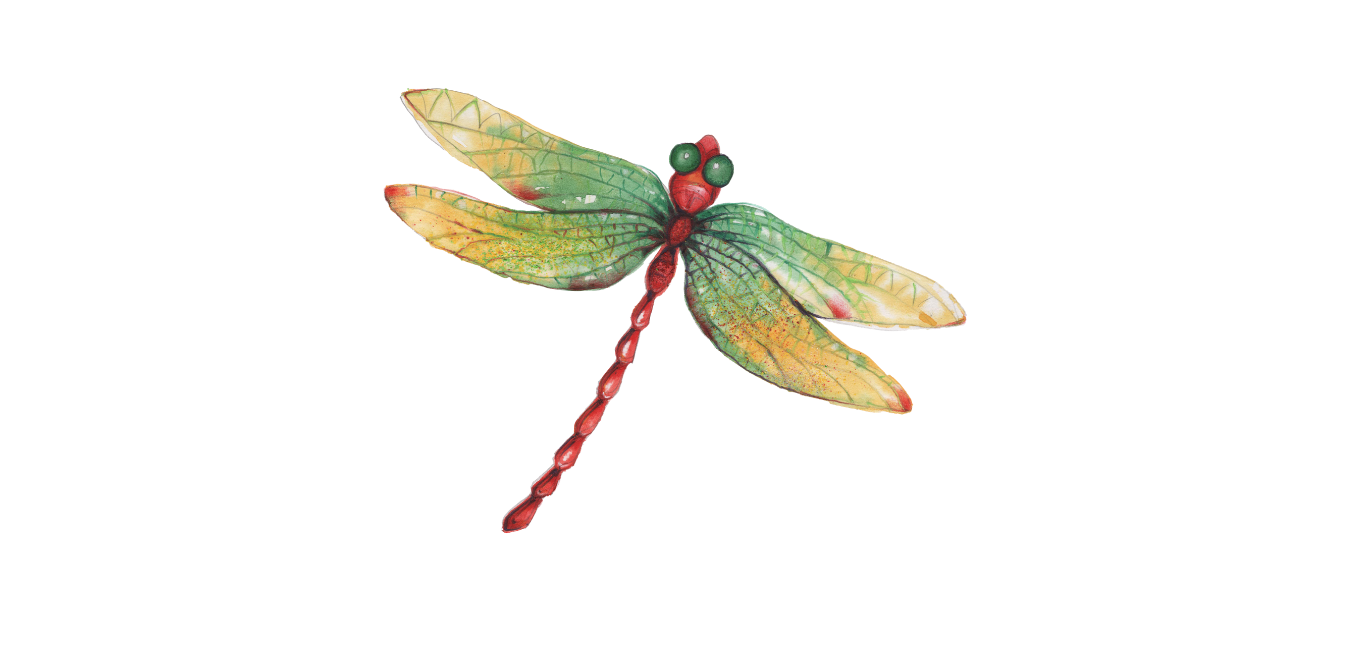 June Spirit Animal | The Dragonfly | What Does The Dragonfly Symbolise ...