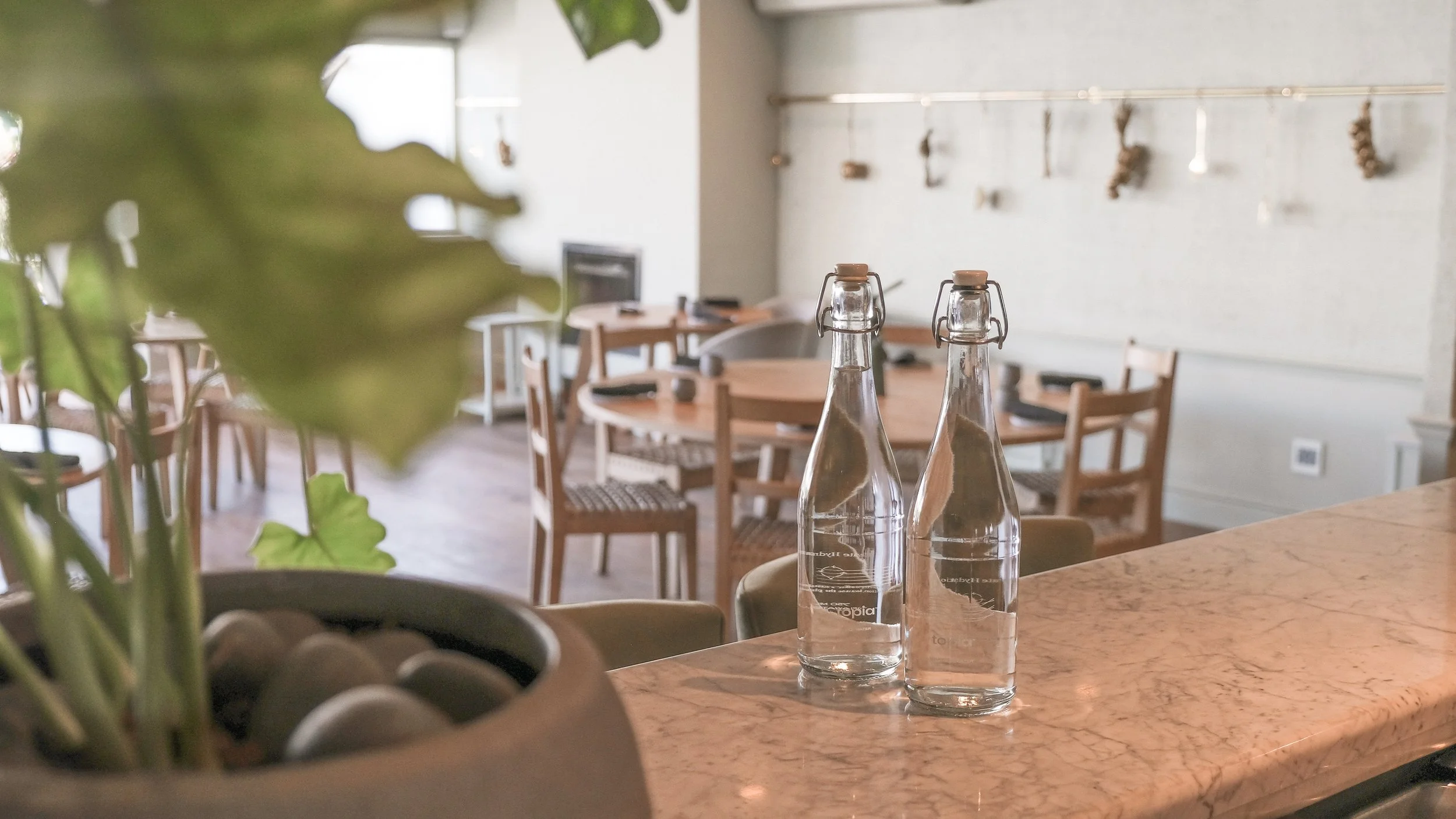 Topia Water Blog | Topia Water