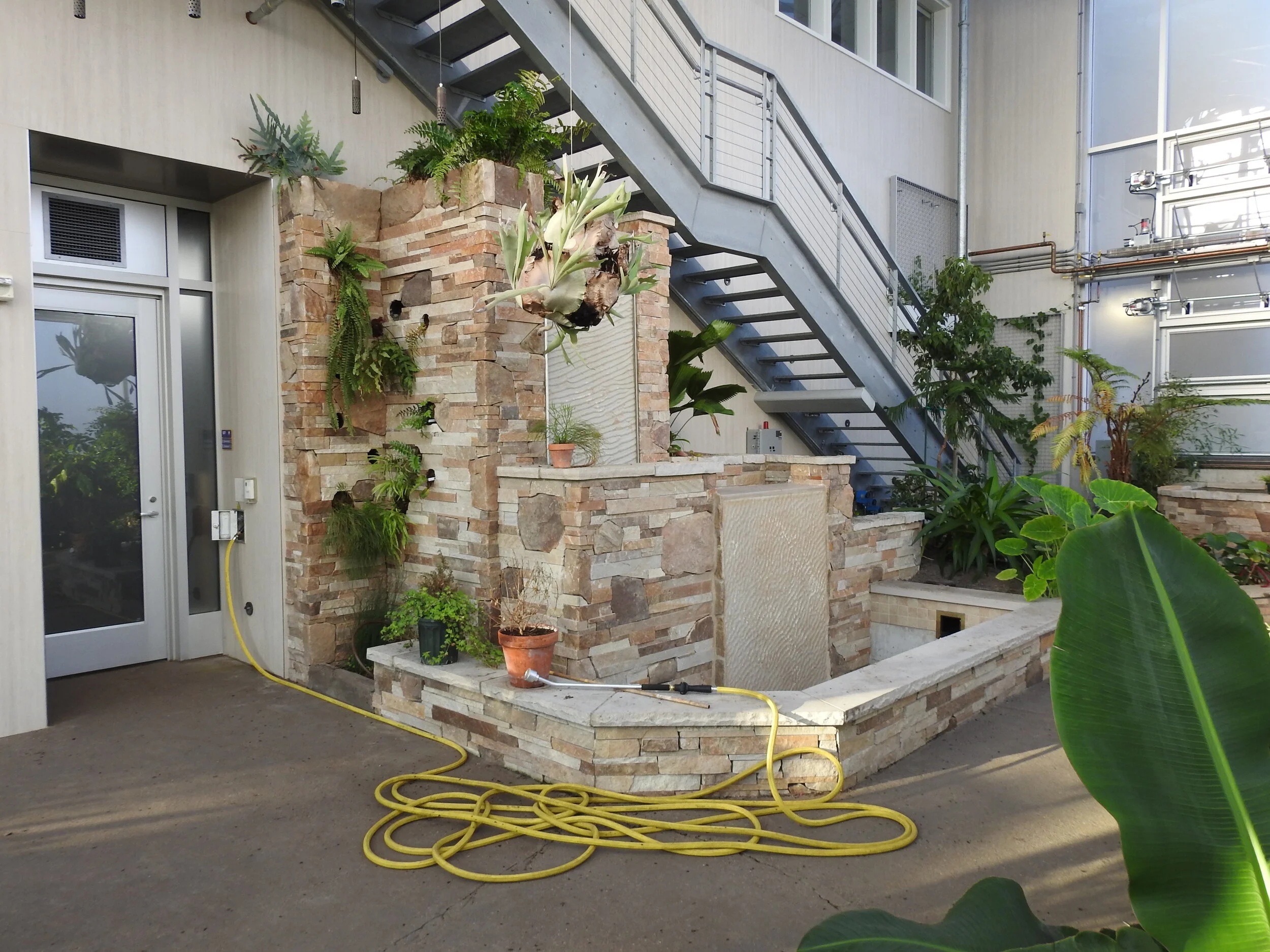 Autumn Sunburst™ 1,"2",3" Ledgerock and 3cm Ledgerock — Krukowski Stone