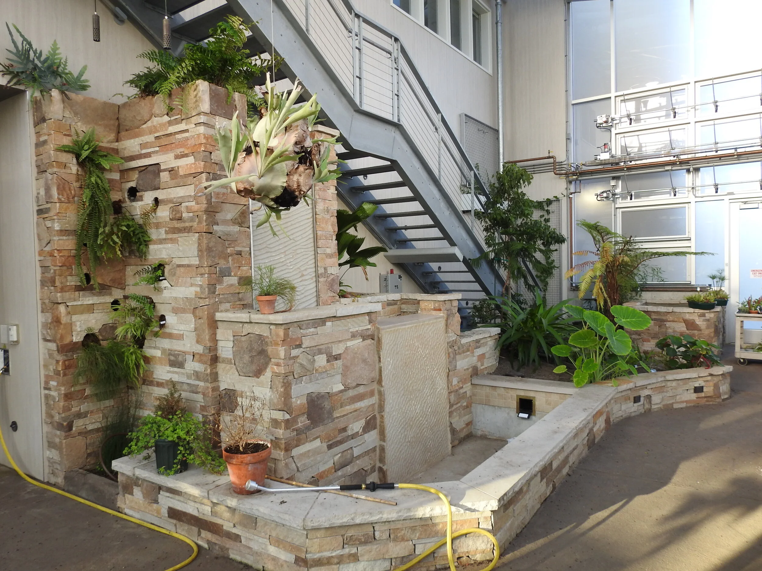 Autumn Sunburst™ 1,"2",3" Ledgerock and 3cm Ledgerock — Krukowski Stone