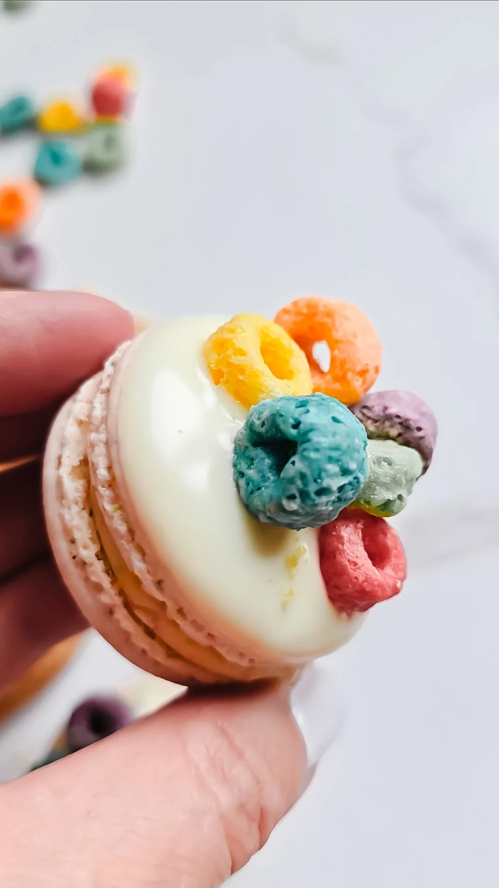 Fruit Loops Macarons — Sasha Cakes Chicago