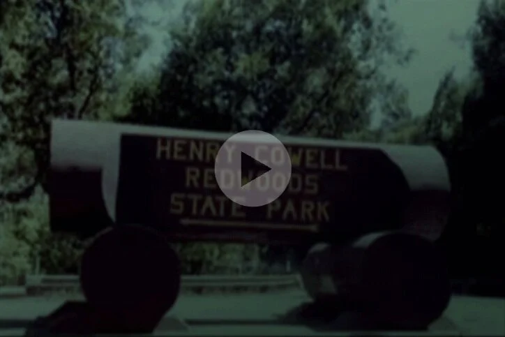 Henry Cowell Redwoods State Park — Mountain Parks Foundation