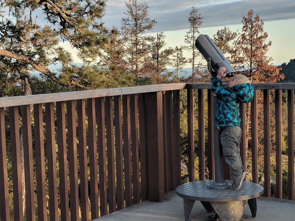 Henry Cowell Redwoods State Park — Mountain Parks Foundation