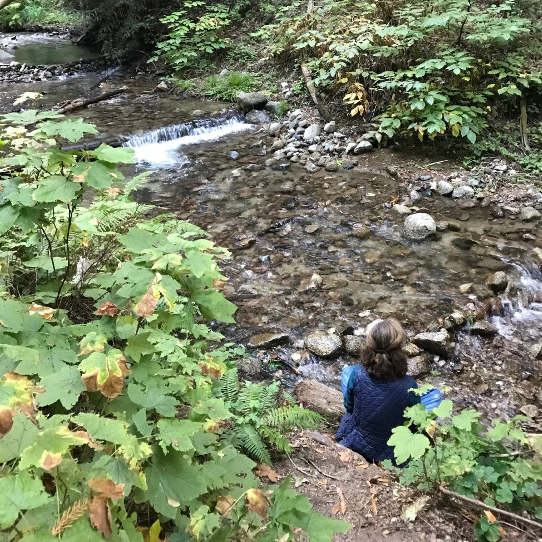 Introduction to Forest Bathing — Mountain Parks Foundation