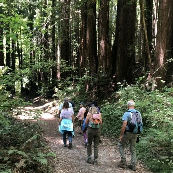 Fall Creek Unit of Henry Cowell Redwoods State Park — Mountain Parks ...