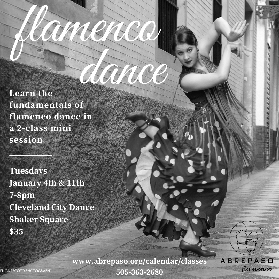 Flamenco Dance Classes in Cleveland and Ohio — ABREPASO flamenco