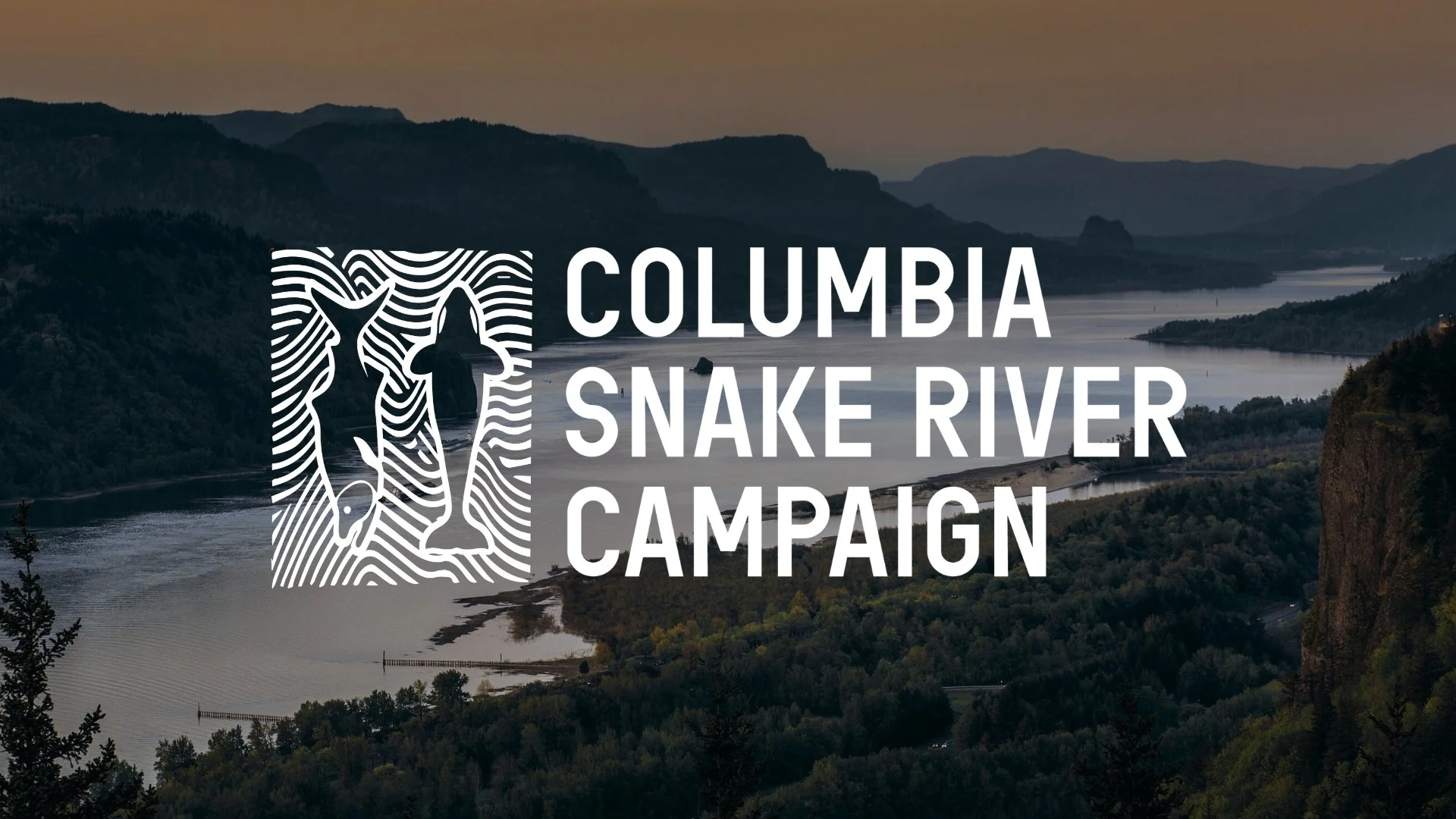 News | Columbia Snake River Campaign