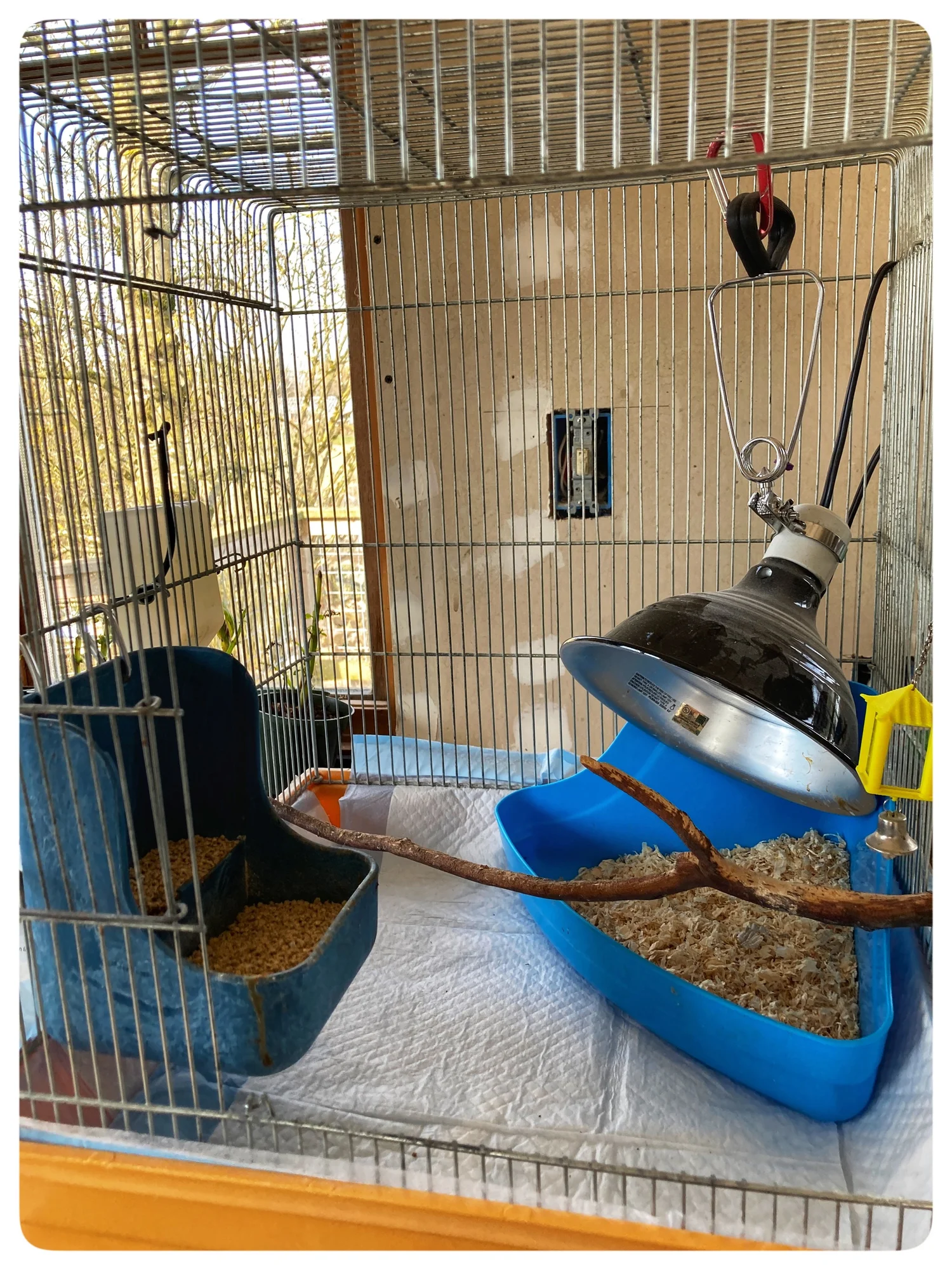 Best Housing or Brooder Set-Up for Baby Chicks