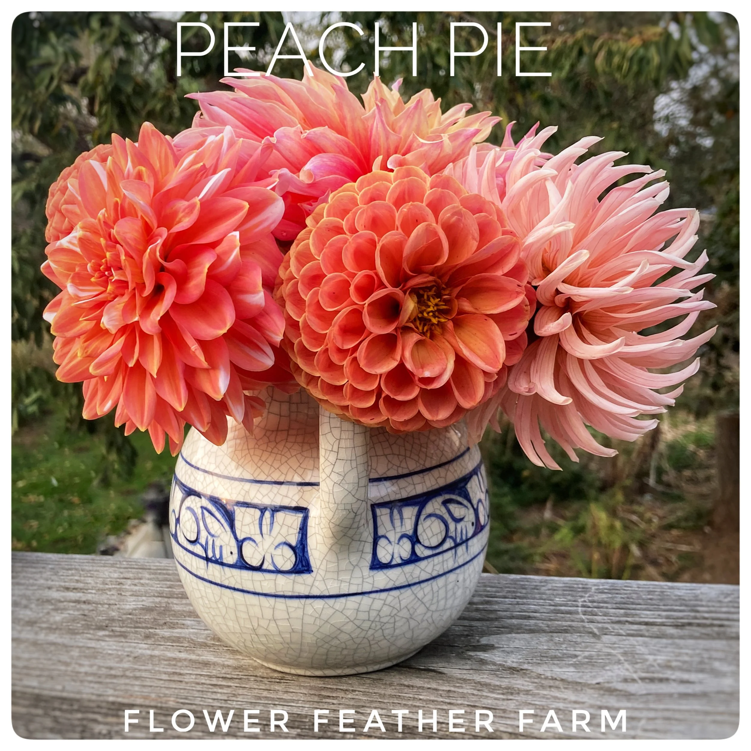 Best Gifts for a Gardener — Flower Feather Farm: Chicks & Dahlias