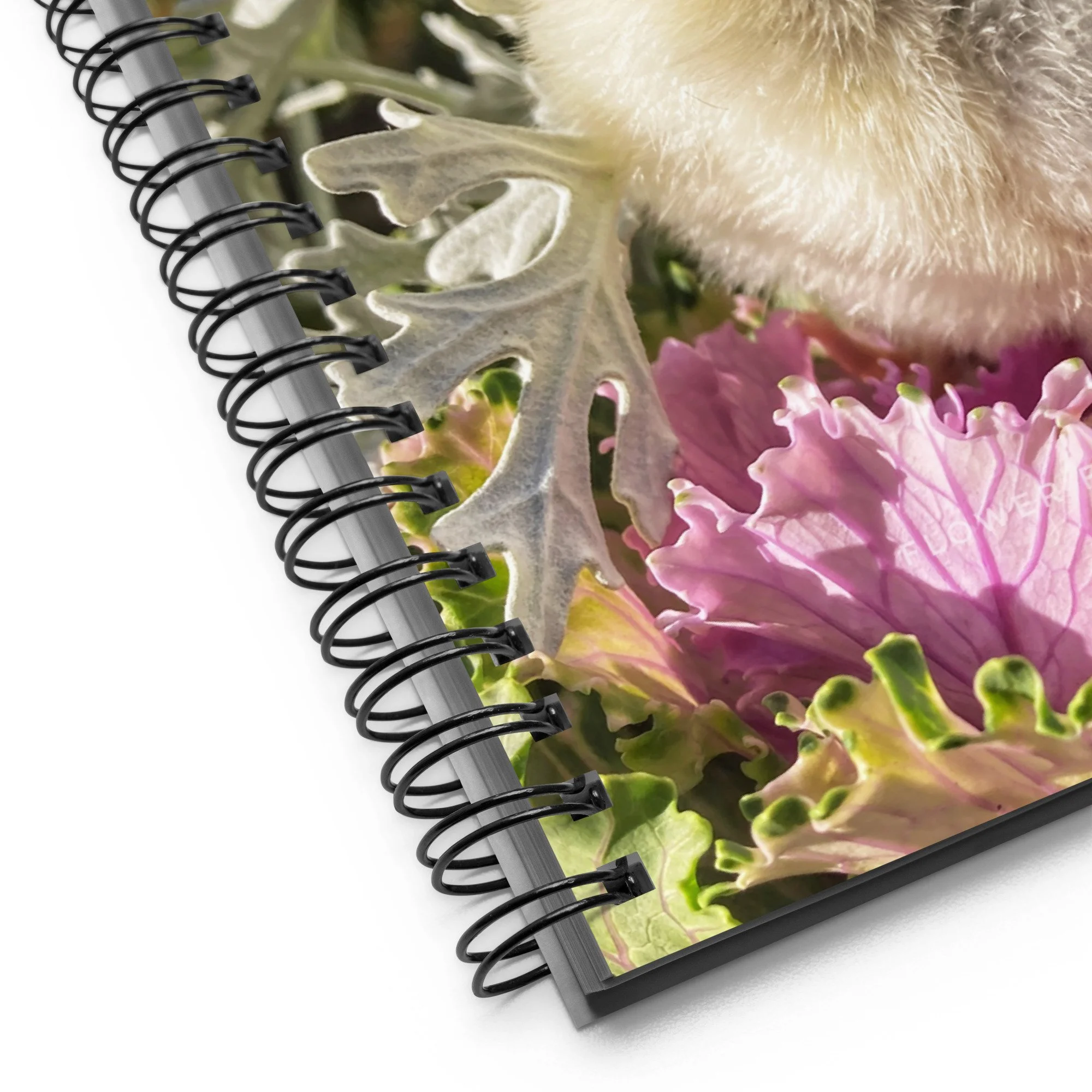 Gift Shop — Flower Feather Farm: Chicks & Dahlias