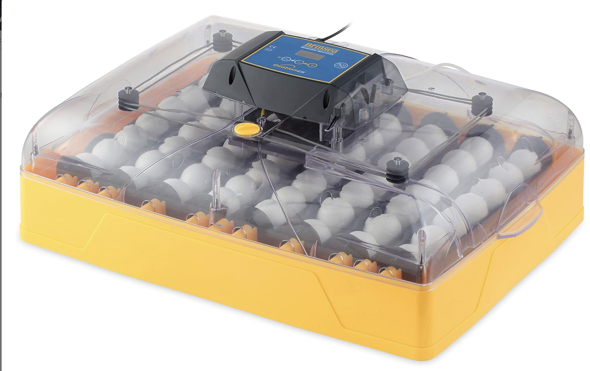 Best Housing or Brooder Set-Up for Baby Chicks