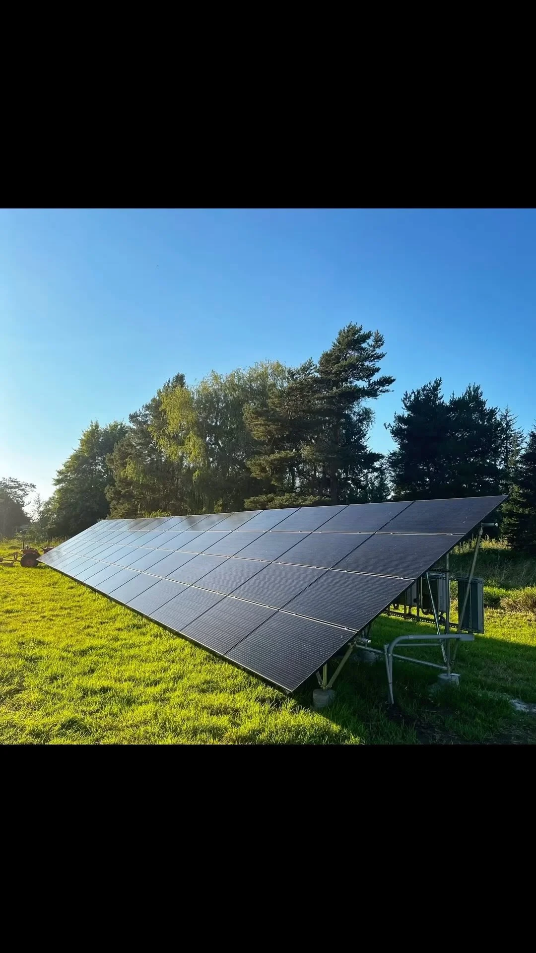 Best Hatching Tips for Healthy Chicks — Flower Feather Farm: Chicks ...