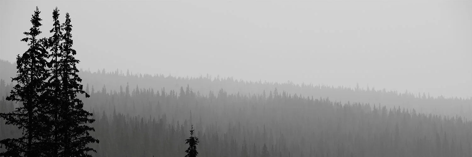 Massage Therapist Calgary AB // Omega Massage + Wellness