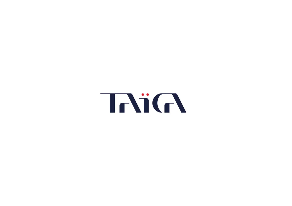 Création de la nouvelle identité visuelle de la marque Taïga — Better ...