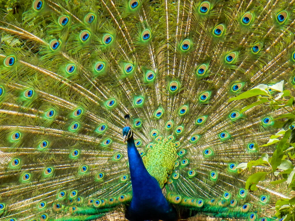 Photography — Flipped Canoe Studio