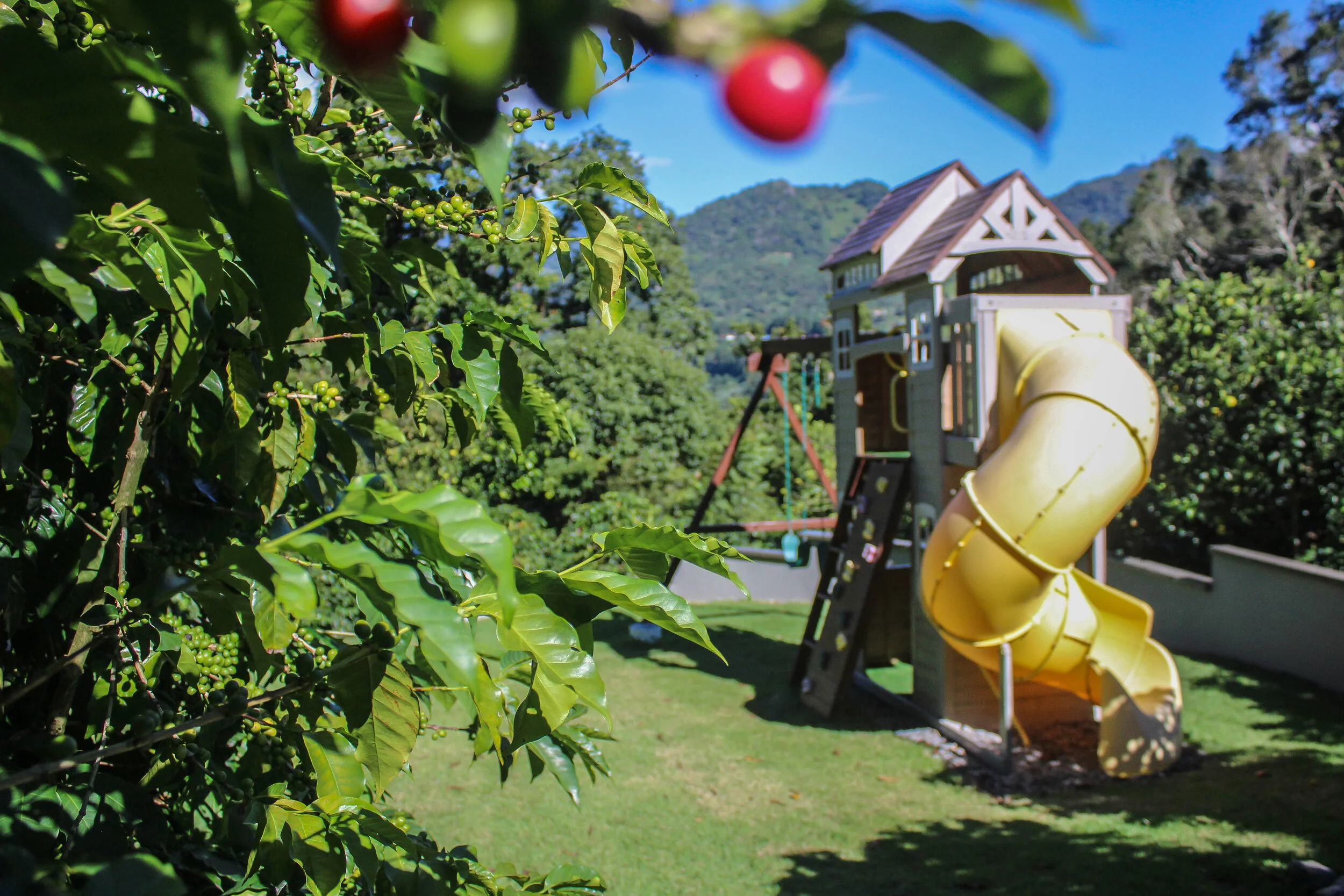 Gallery — Coffee Estate Inn