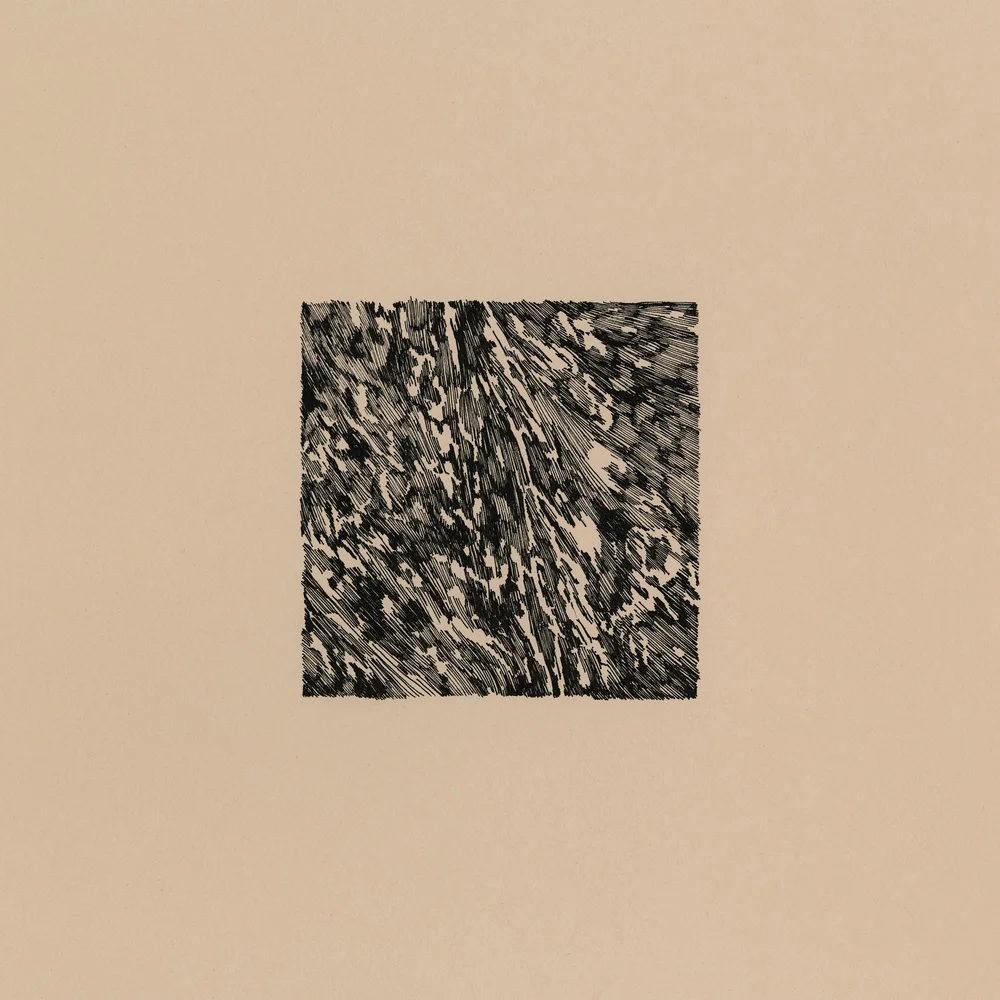 Ryan Tippery — 10x10