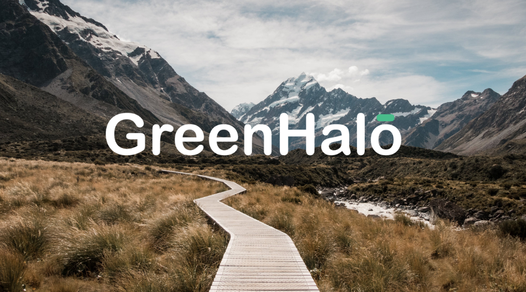 Hello Marketing | Marketing Consultant Christchurch | Digital Marketing