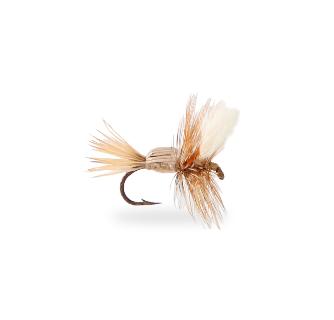 Fishing Calendar — Henry's Fork Lodge