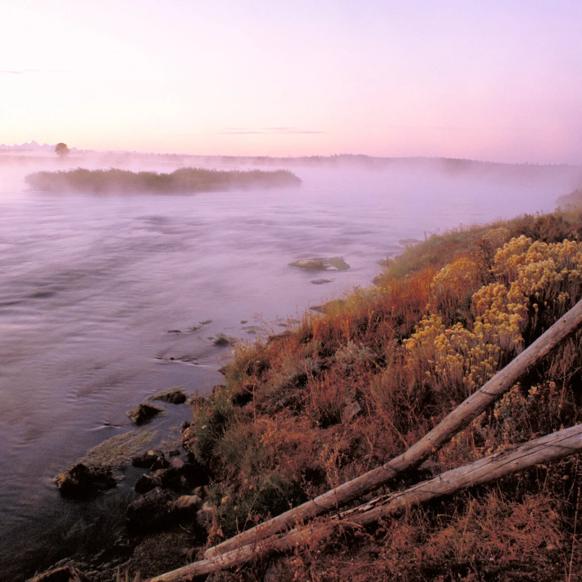 Gallery — Henry's Fork Lodge