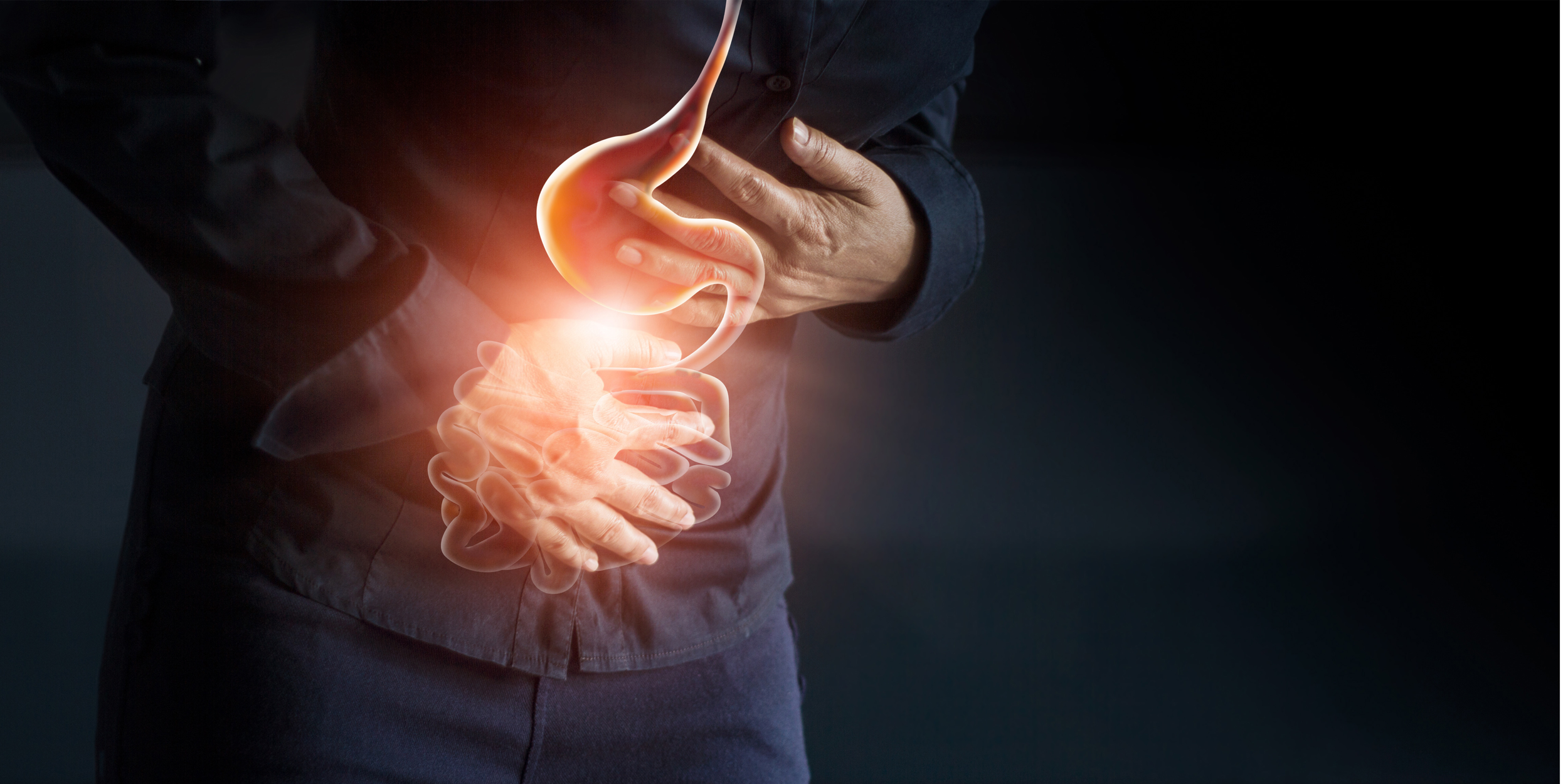 The Atlas and Digestive Health: How Nervous System Balance Supports a ...