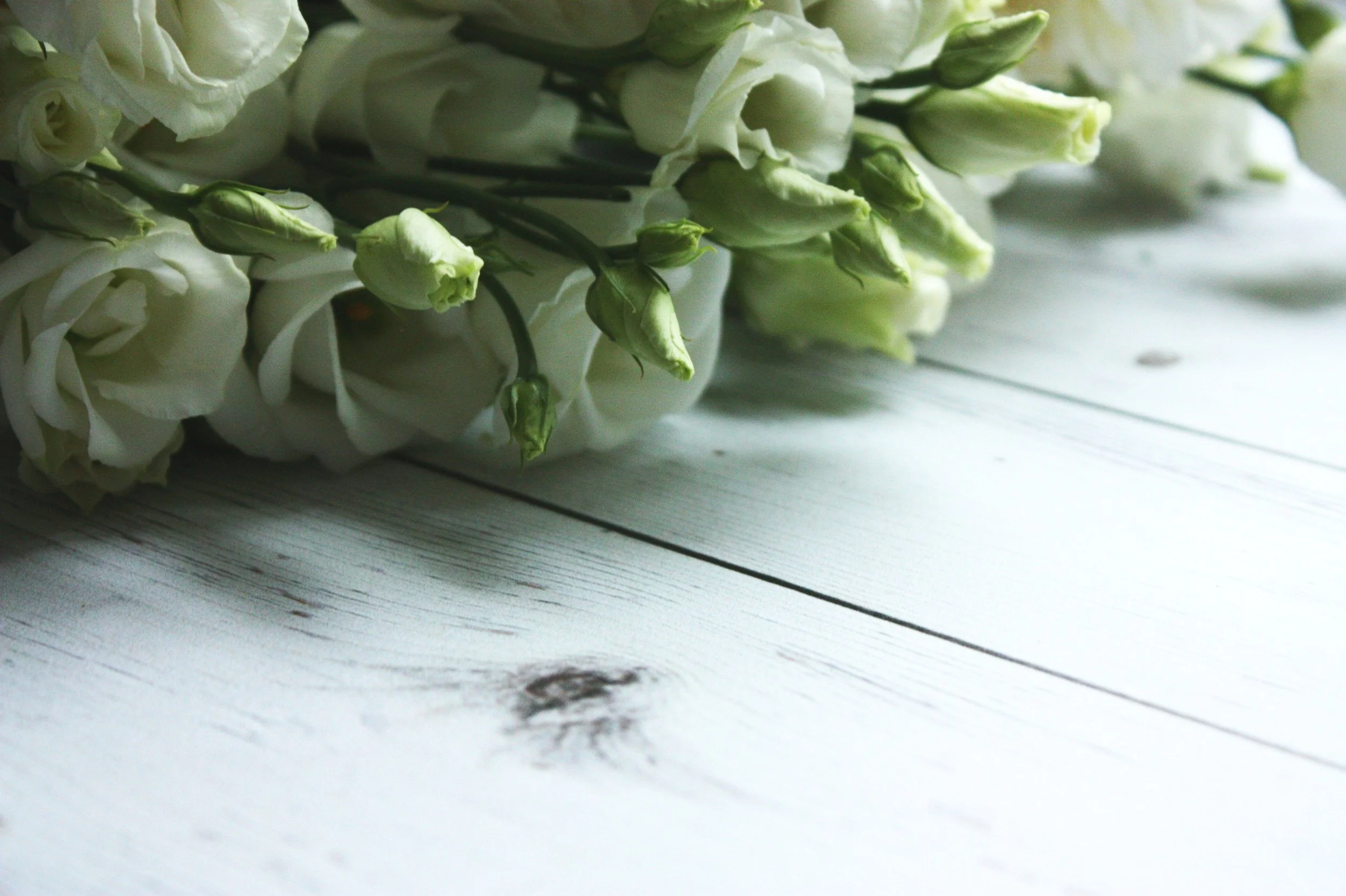 Upcoming services — William Cole Funerals | Excellence in Funeral Service