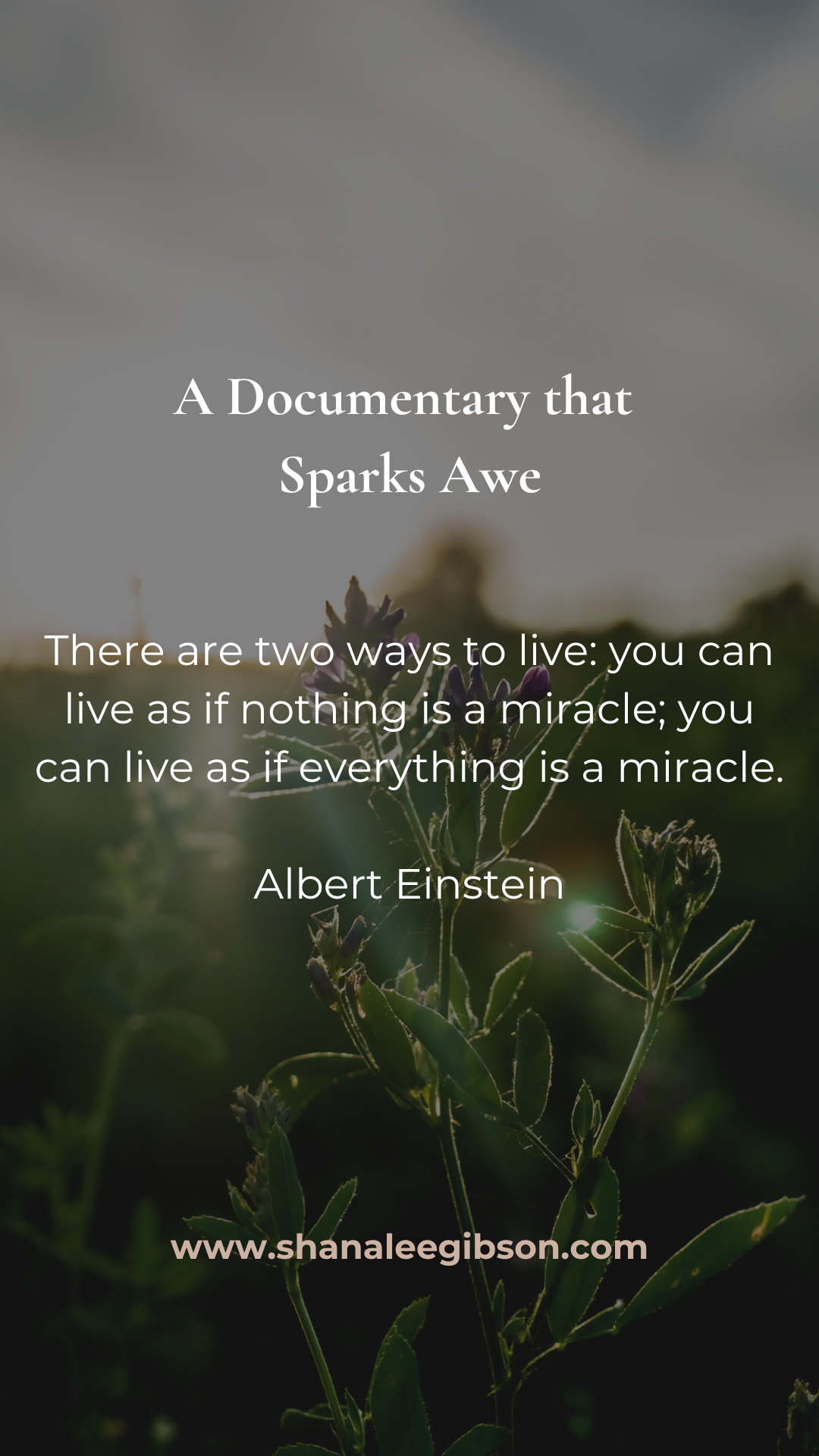 A Documentary that Sparks Awe — Shana Lee Gibson