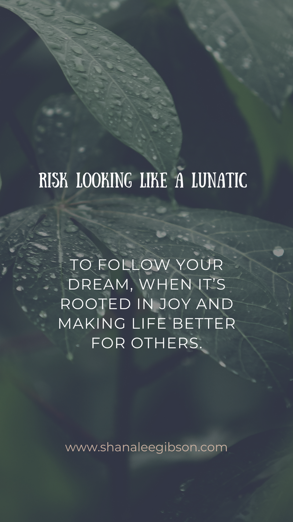 3 Life Lessons Big Dreamers Must Embrace — Shana Lee Gibson