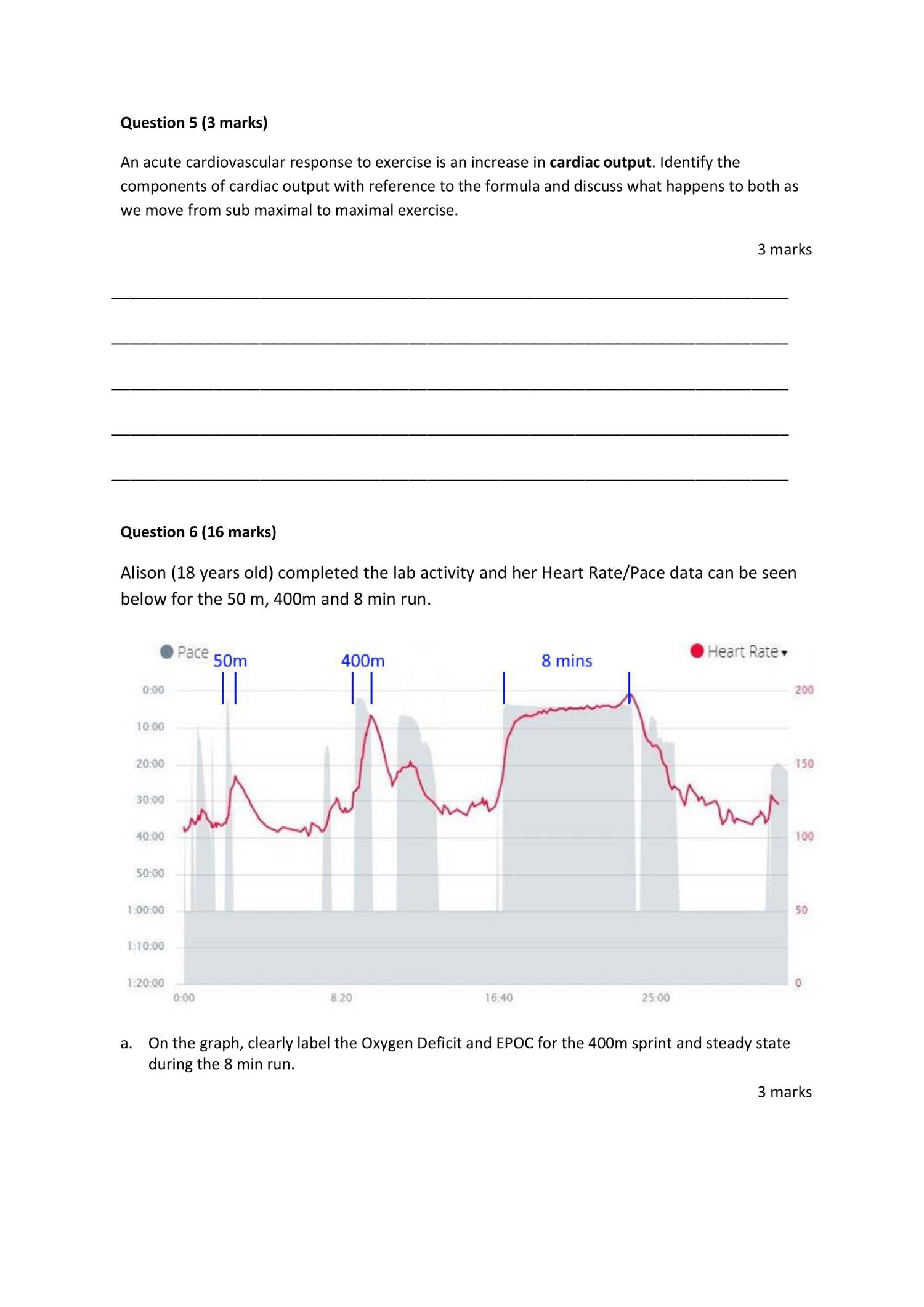 Shop online Resources to Ace VCE PE — abcPE - VCE Physical Education