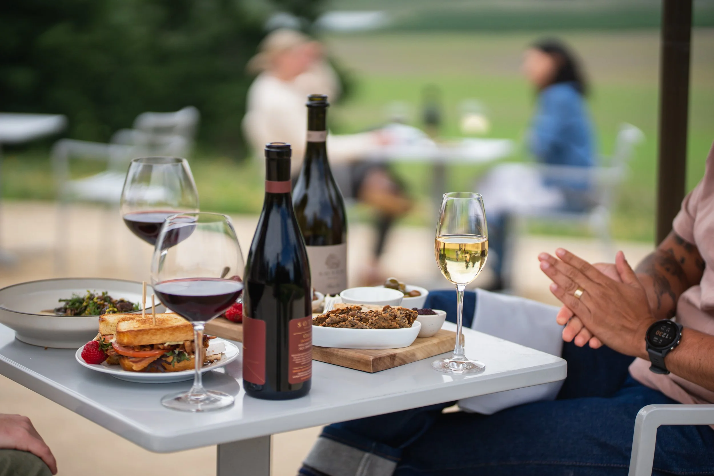 Visit Us at MSR — SOTER VINEYARDS | Mineral Springs Ranch