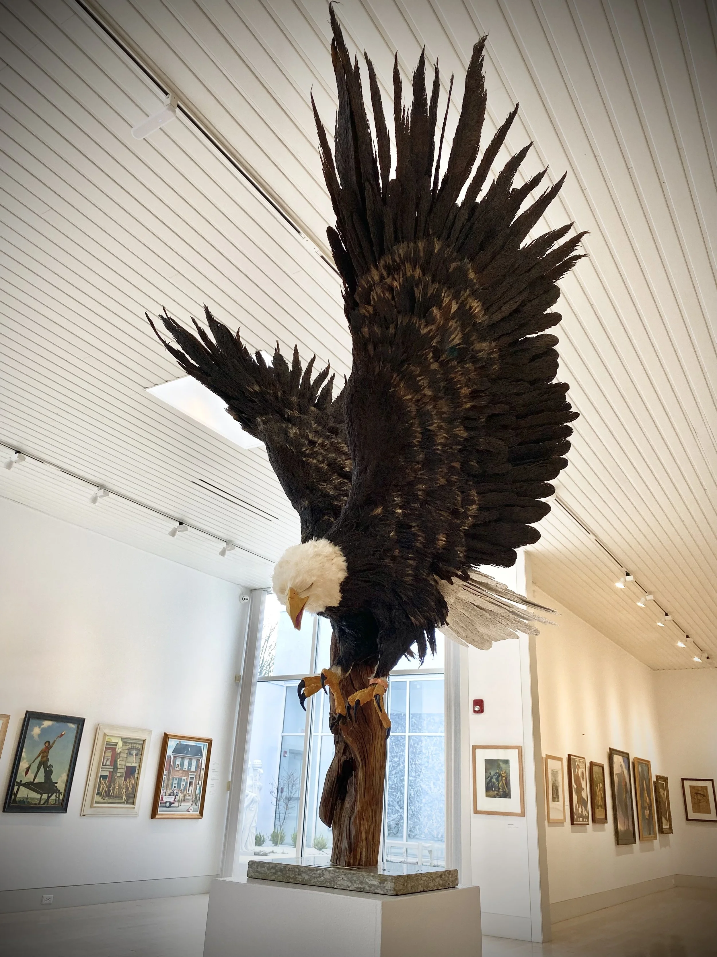 Medici Museum of Art