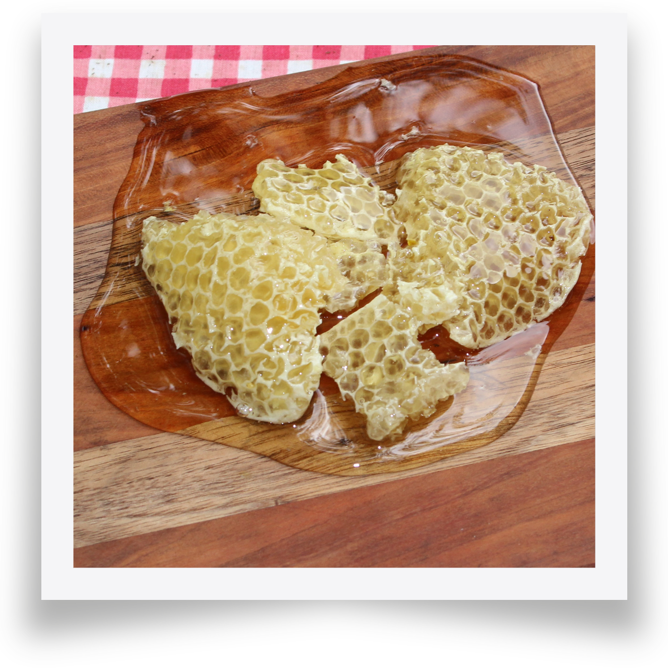 Honeycomb Co. Ltd